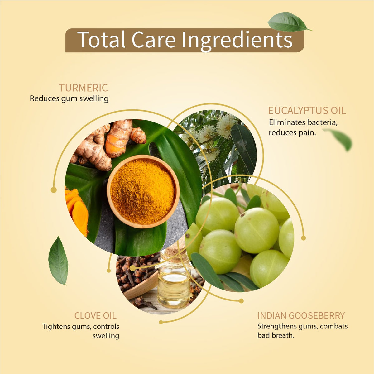 Ayouthveda Total Care 360 Toothpaste Net qty.- 100 g each Set of 2